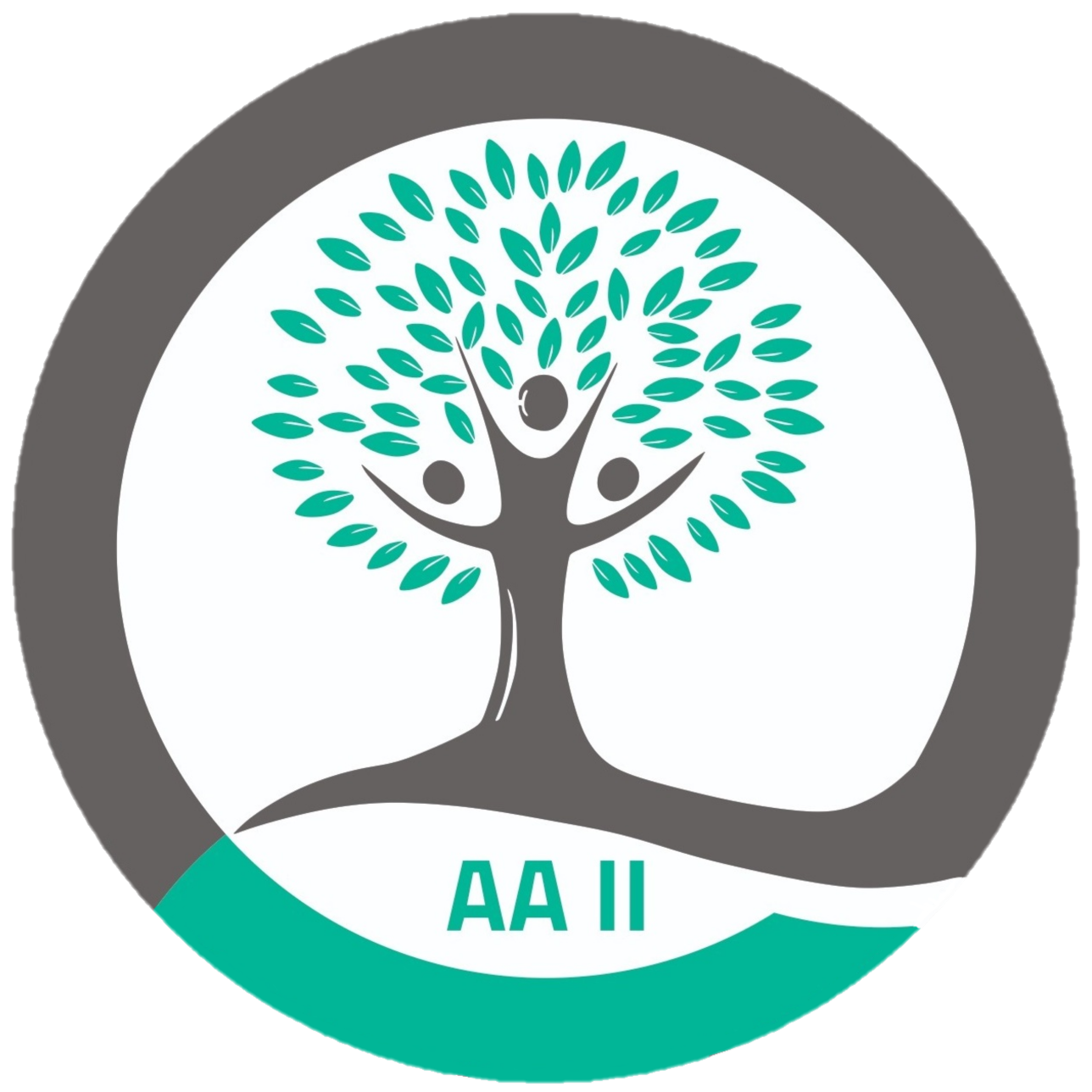 AAII - Administraciones Integrales